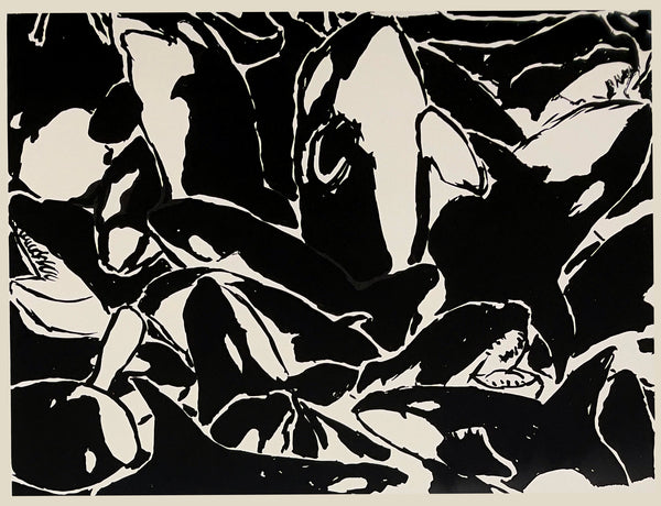 Blackfish (repeat pattern and motion) print, 2026 – Community Access ...